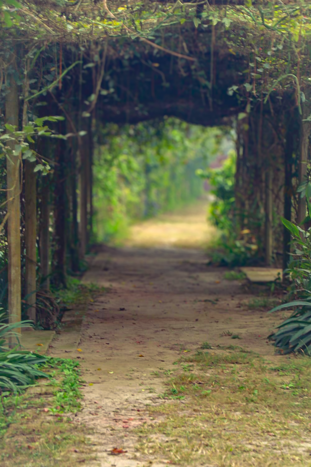 Teesta University