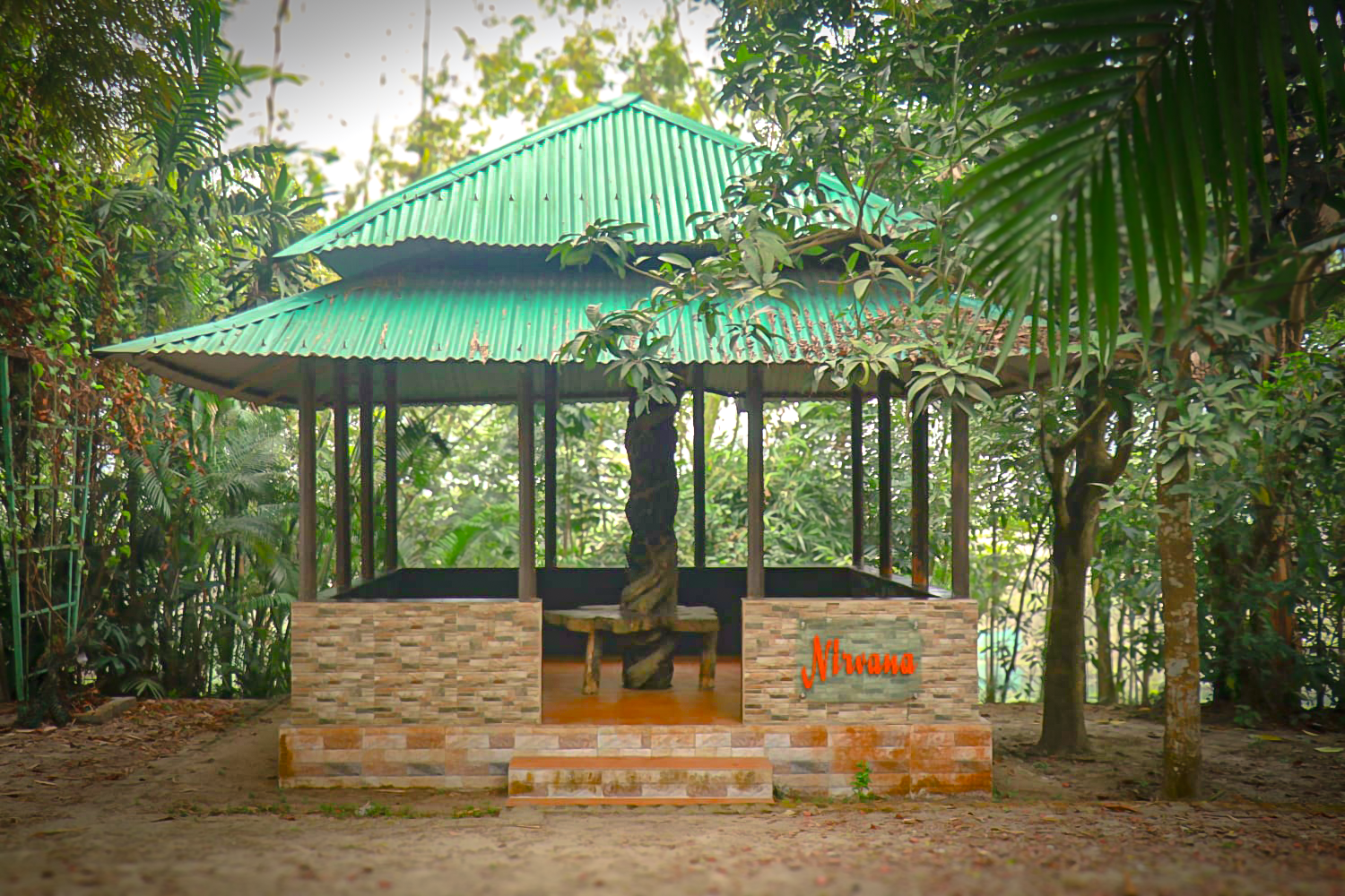 Teesta University