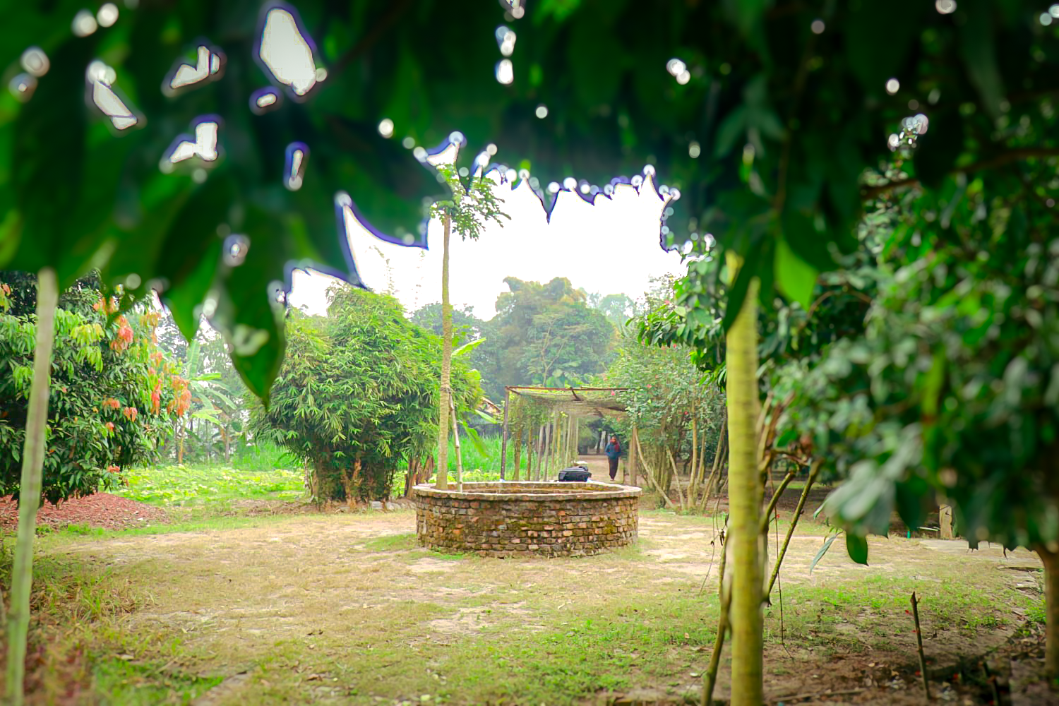 Teesta University